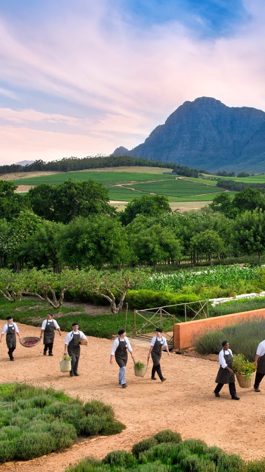 Babylonstoren Wine Estate & Farm